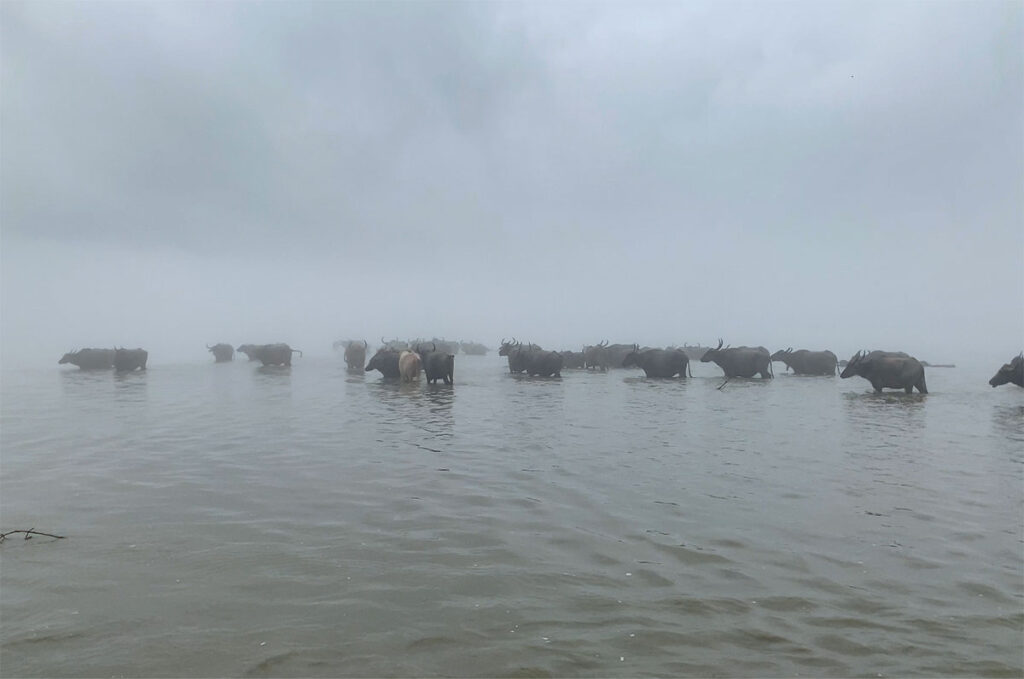 Morisika: Mirage the story of the boatman – Soanas